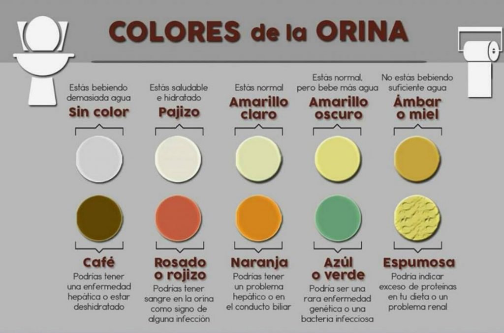 Orina - Fundación Sonría