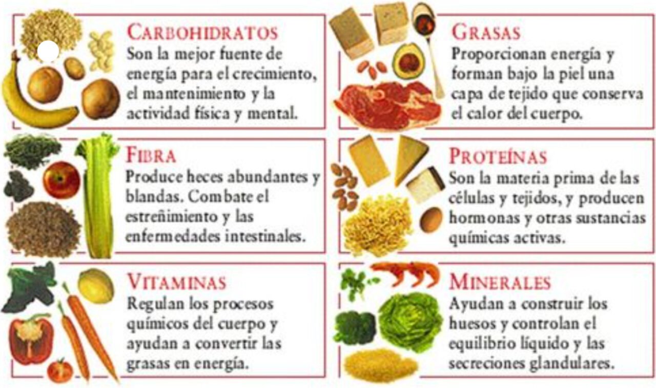 10 Tipos de Alimentos - Fundación Sonría